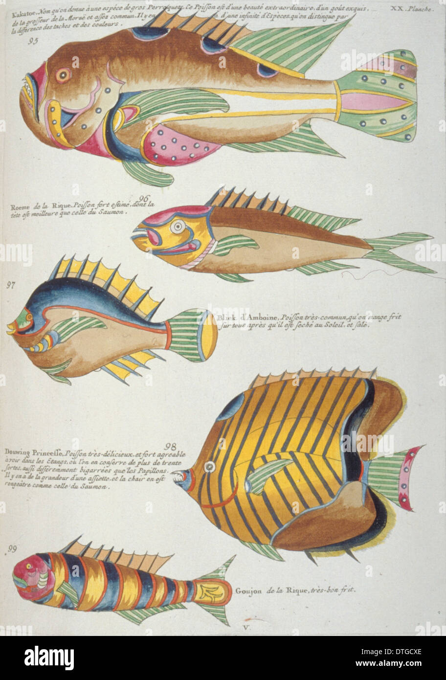 Colourful illustration of five fish Stock Photo - Alamy