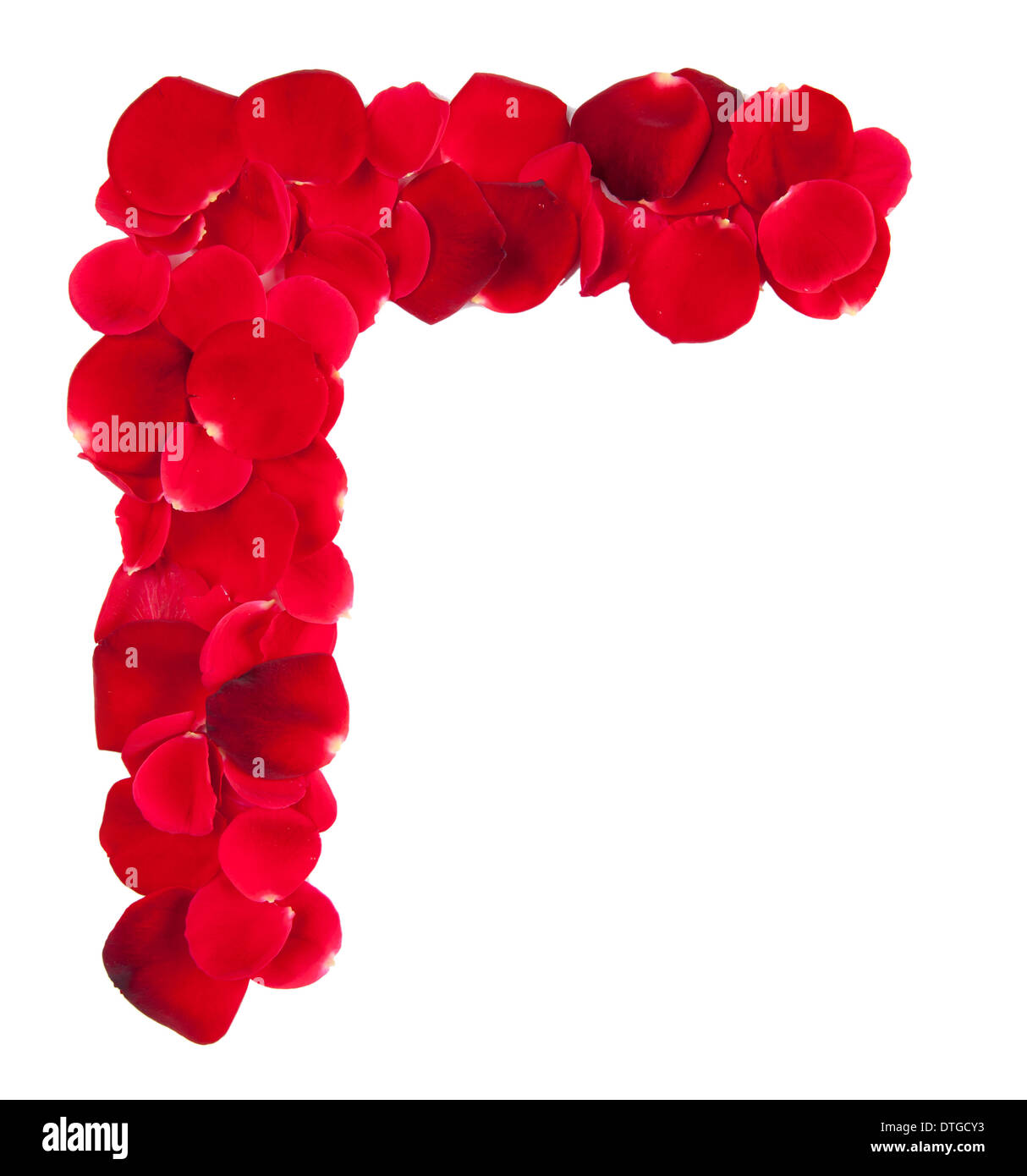 Rose corner border hi-res stock photography and images - Alamy