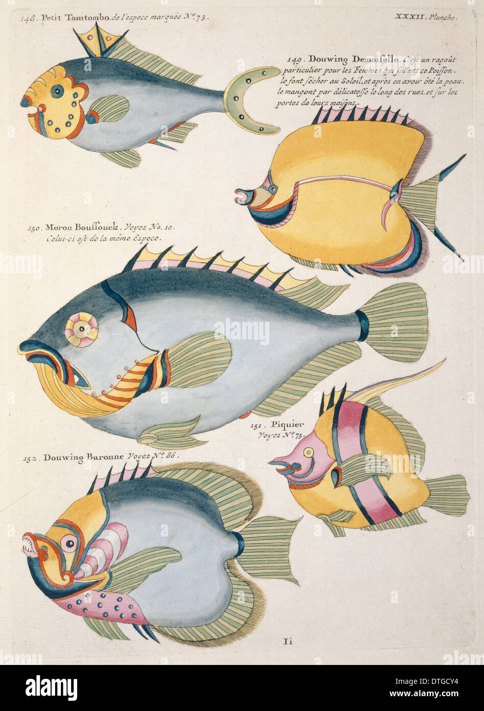 Colourful illustration of five fish Stock Photo - Alamy