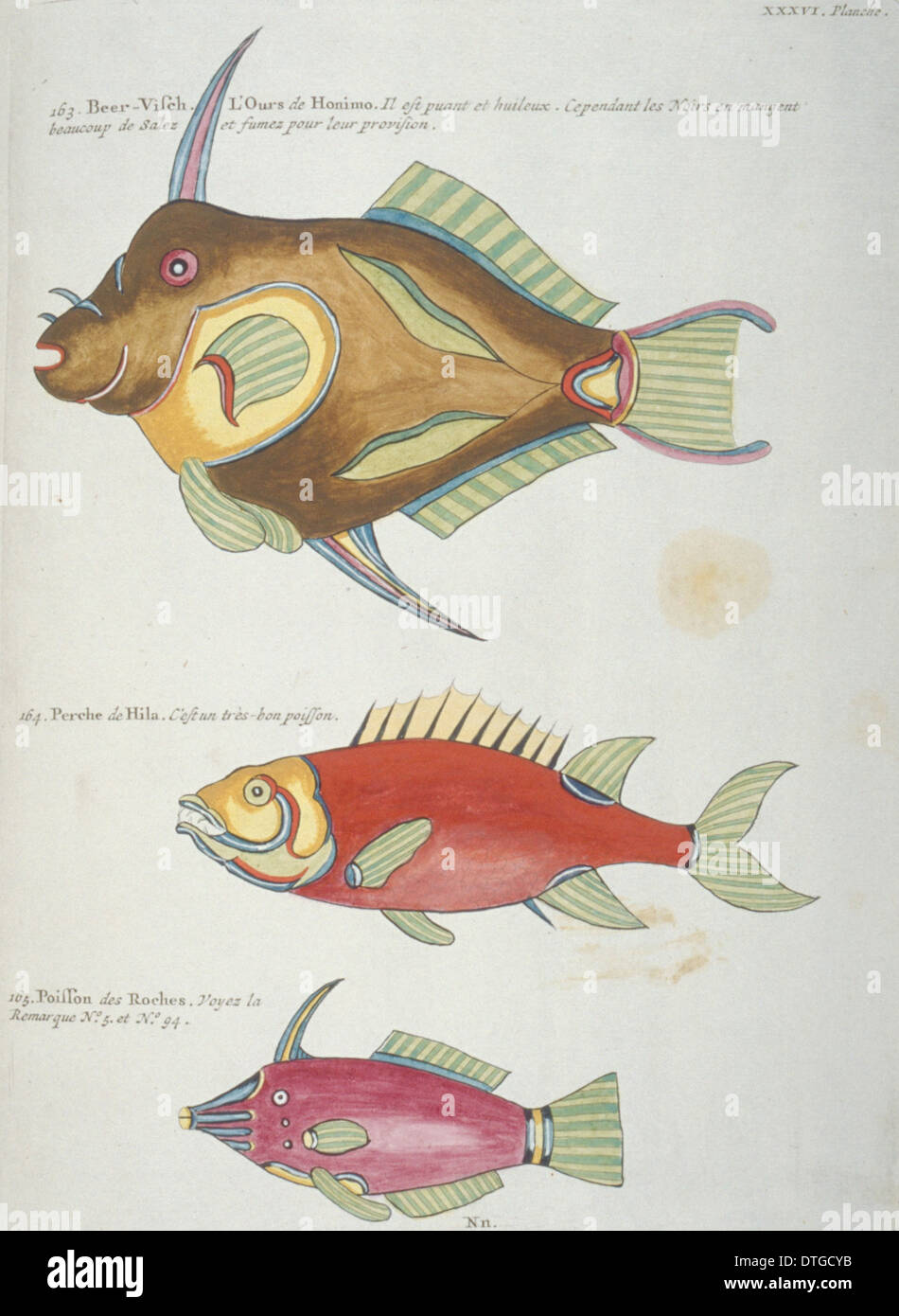 Colourful illustration of three fish Stock Photo - Alamy