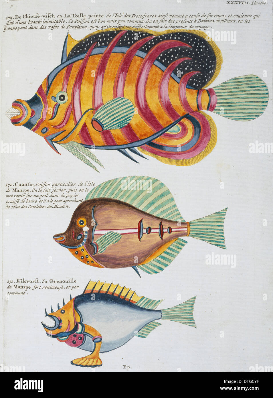 Colourful illustration of three fish Stock Photo - Alamy