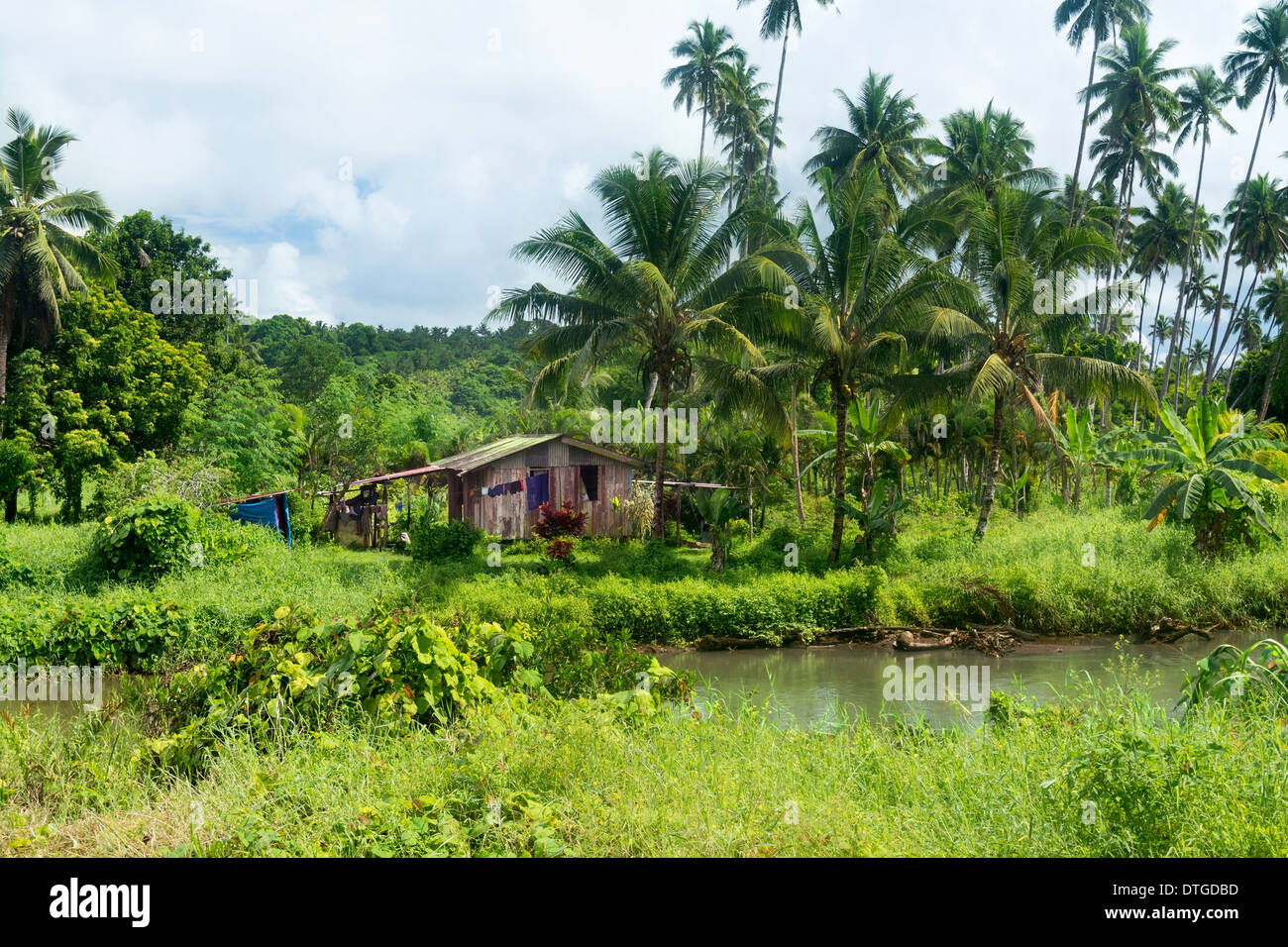 Rustic old shack in the jungle of South East Asia with laundry and ...