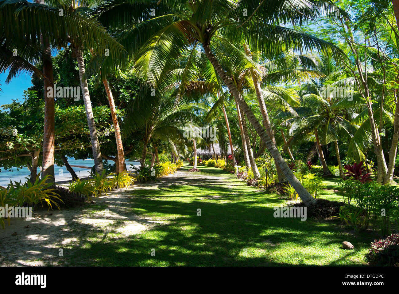 A green walking path at a south pacific tropical resort shows a shaded ...