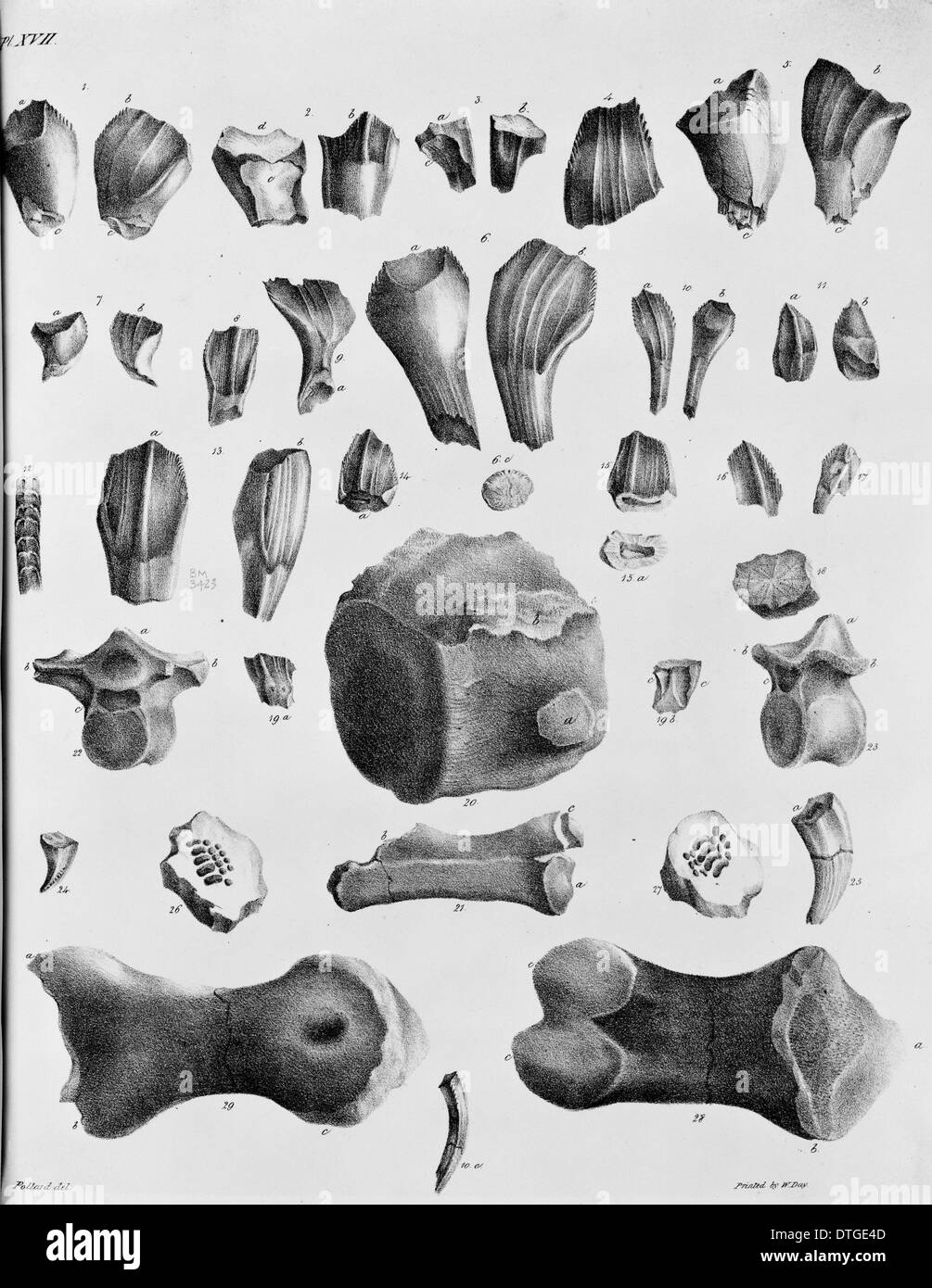 K plate Black and White Stock Photos & Images - Alamy