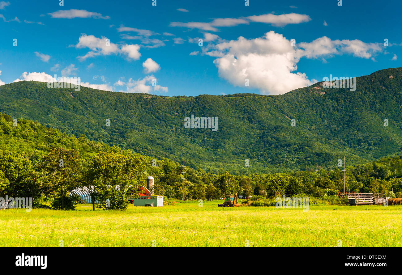 Farm fields and view of the Blue Ridge Mountains in the Shenandoah ...