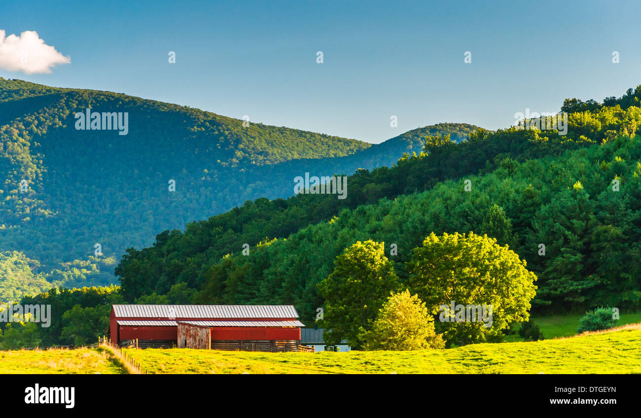 Red barn and view of the Blue Ridge Mountains, in the Shenandoah Valley ...