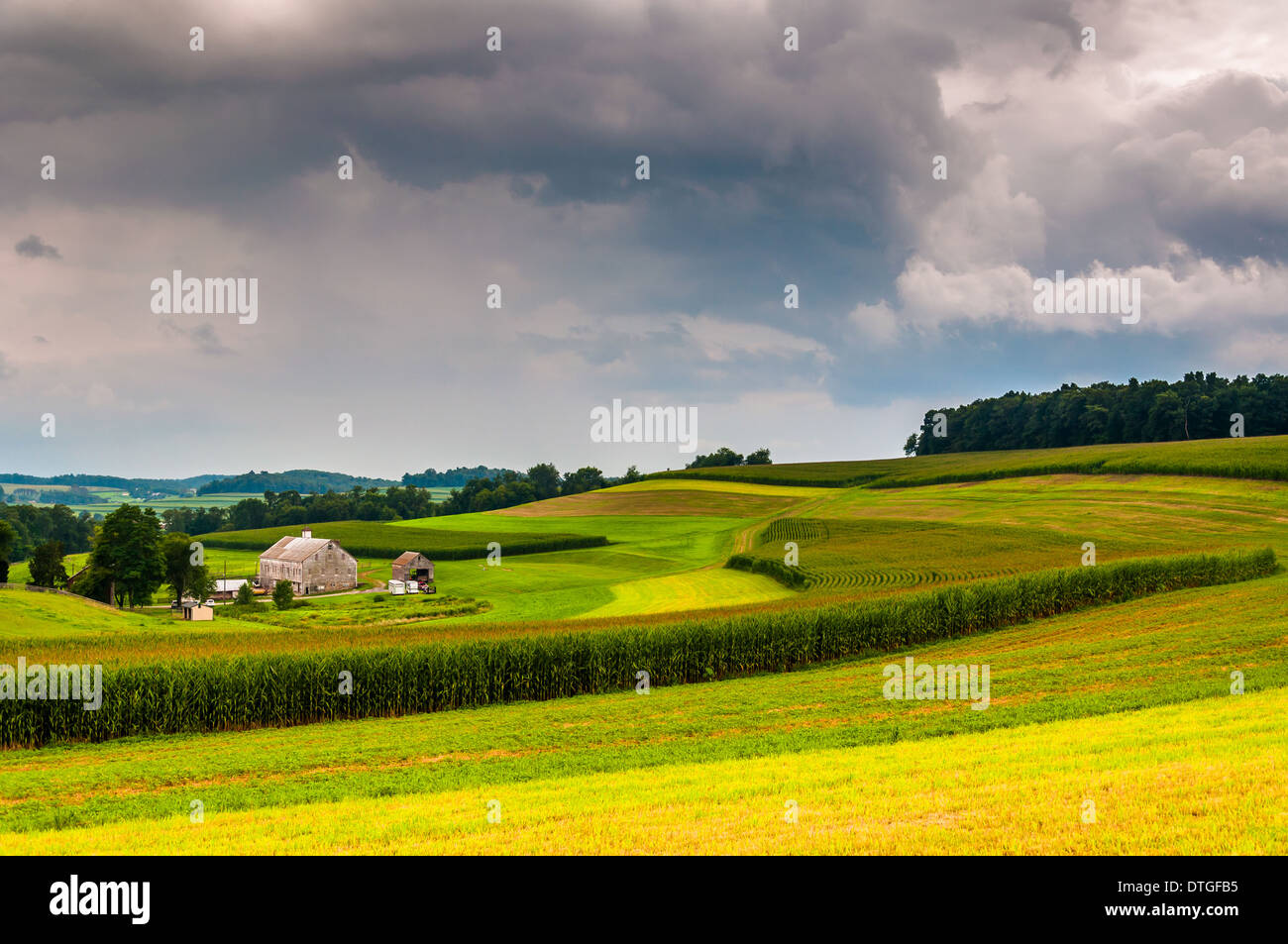 Pennsylvania farm fields corn hi-res stock photography and images - Alamy