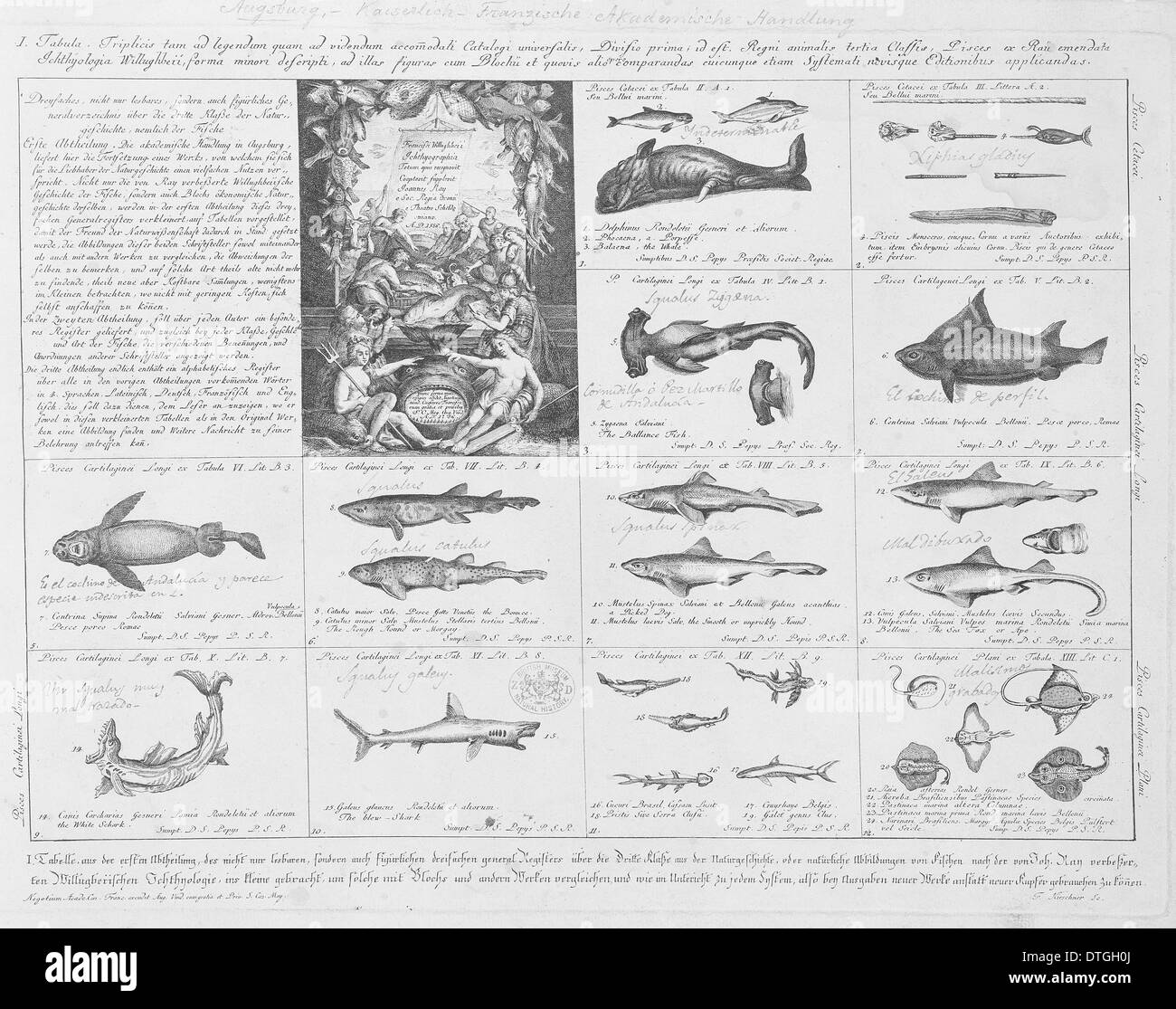 Tabula High Resolution Stock Photography and Images - Alamy