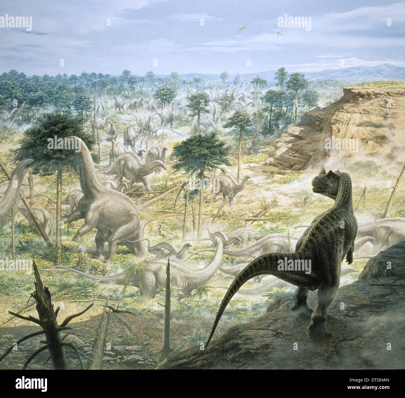 Ceratosaurus & Apatosaurus Stock Photo - Alamy