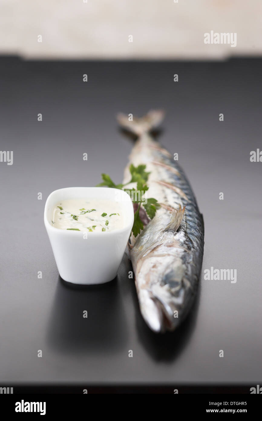 Grilled mackerel with cream sauce Stock Photo - Alamy