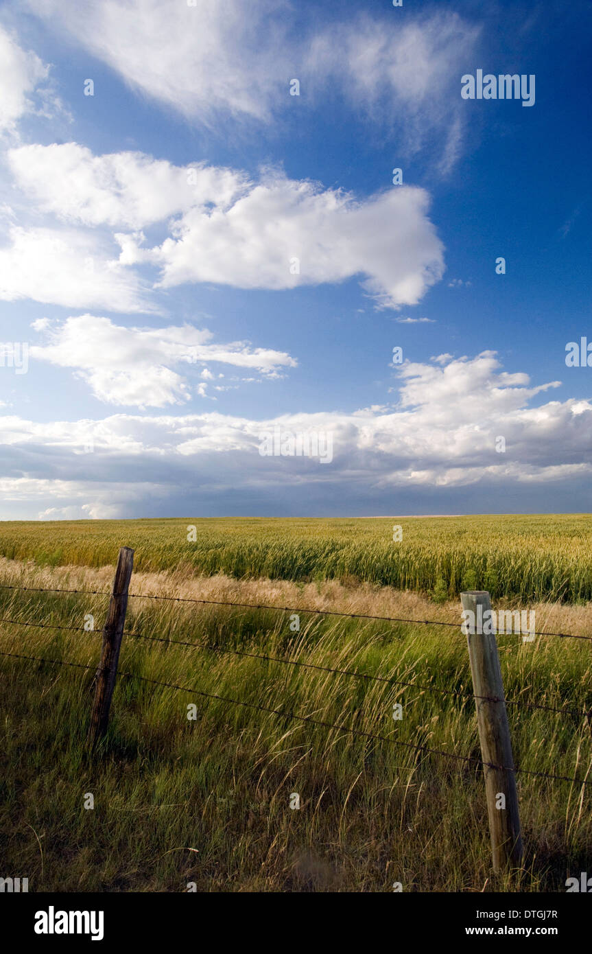 Bassano canada hi-res stock photography and images - Alamy