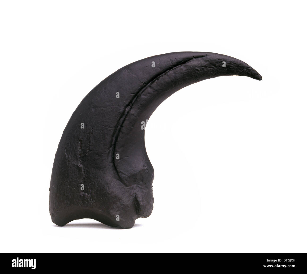 Dinosaur Claw High Resolution Stock Photography and Images - Alamy