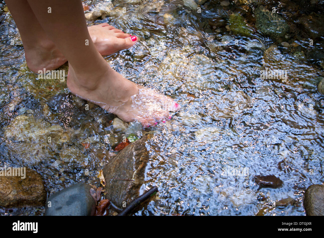 woman's feet in a wood Stock Photo - Alamy