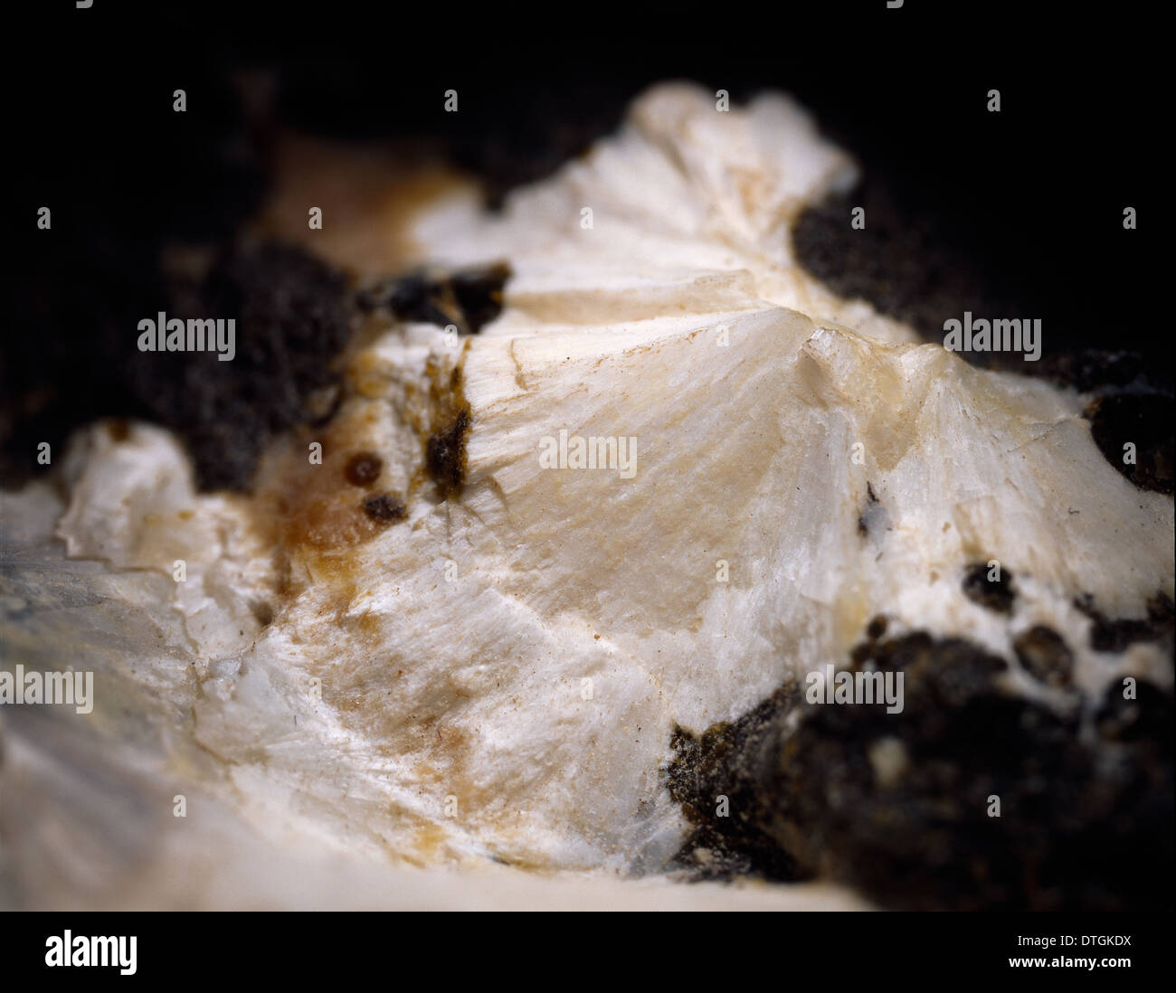 Potassium aluminum silicate hi-res stock photography and images - Alamy