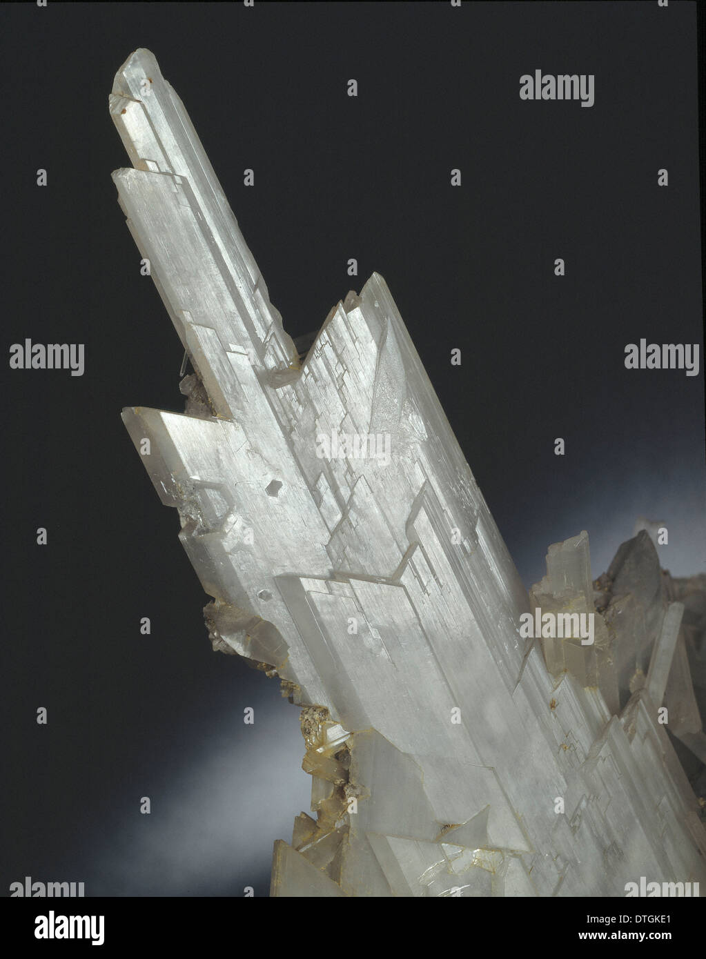 The gypsum crystal hi-res stock photography and images - Alamy