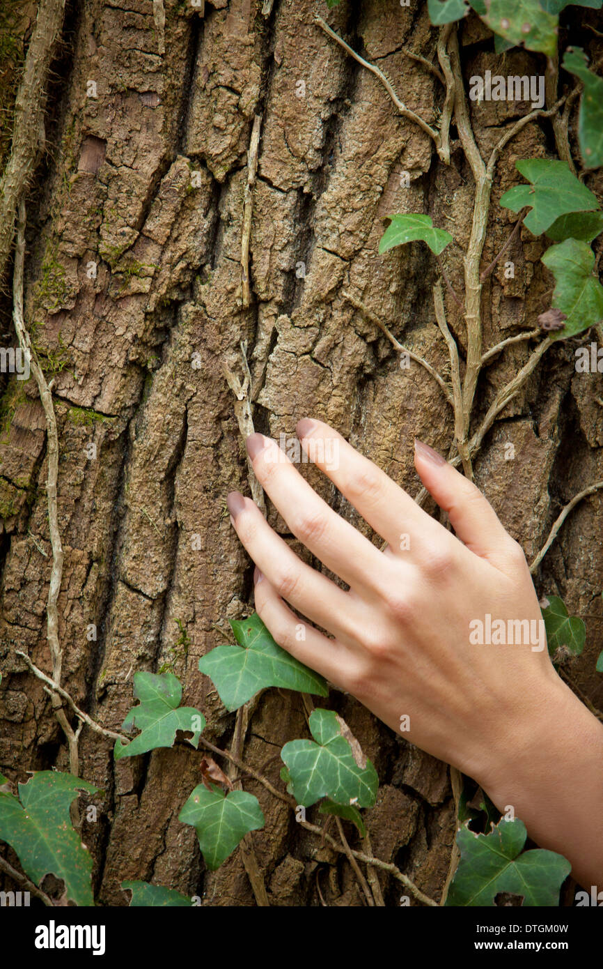 hand on a tree Stock Photo - Alamy