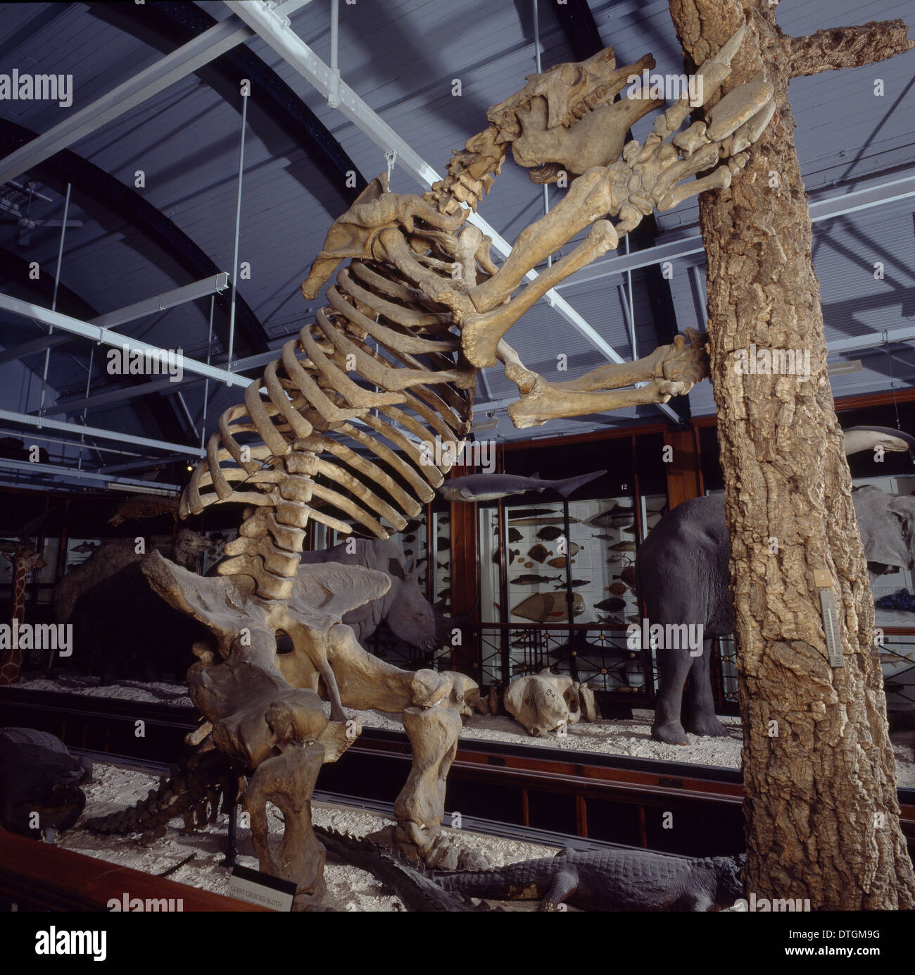 3 at hi-res stock photography and images - Alamy