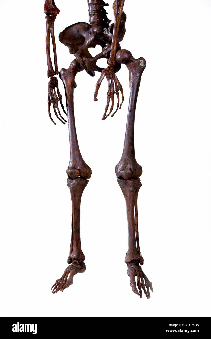 Neanderthal Symbolism