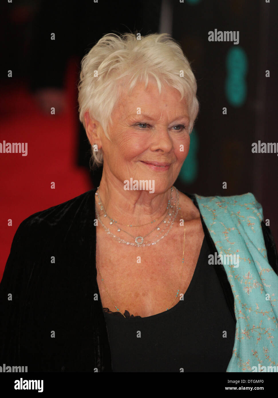 Judi dench 2014 hi-res stock photography and images - Alamy