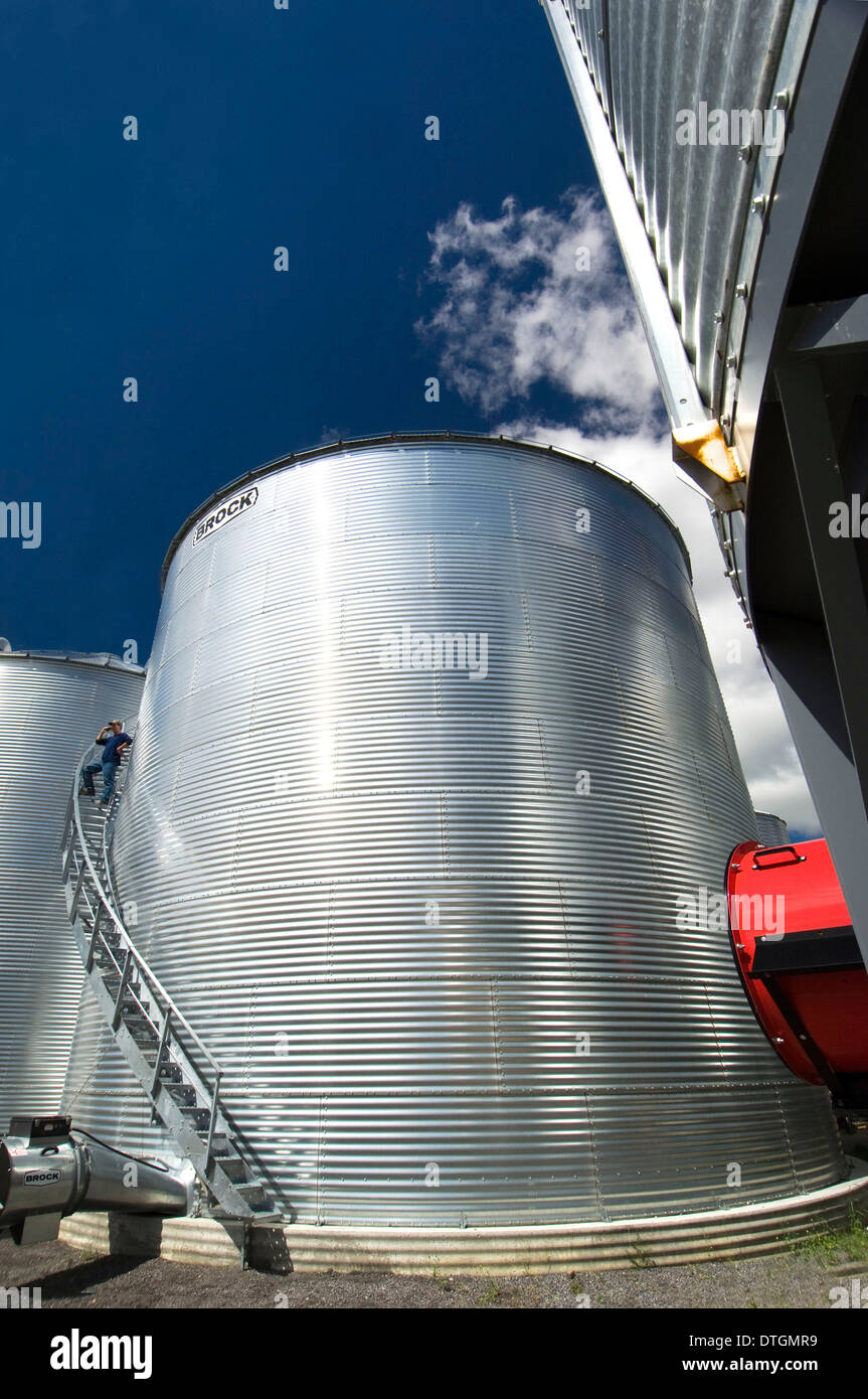 Sedley Stock Photos & Sedley Stock Images - Alamy