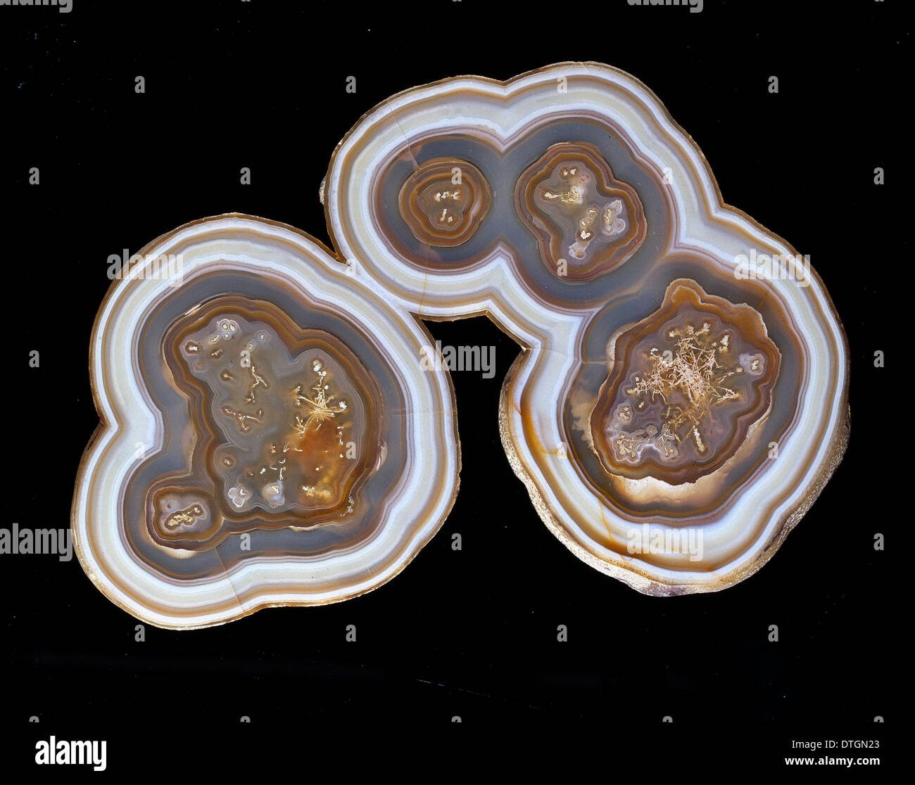Banded agate ring hi-res stock photography and images - Alamy