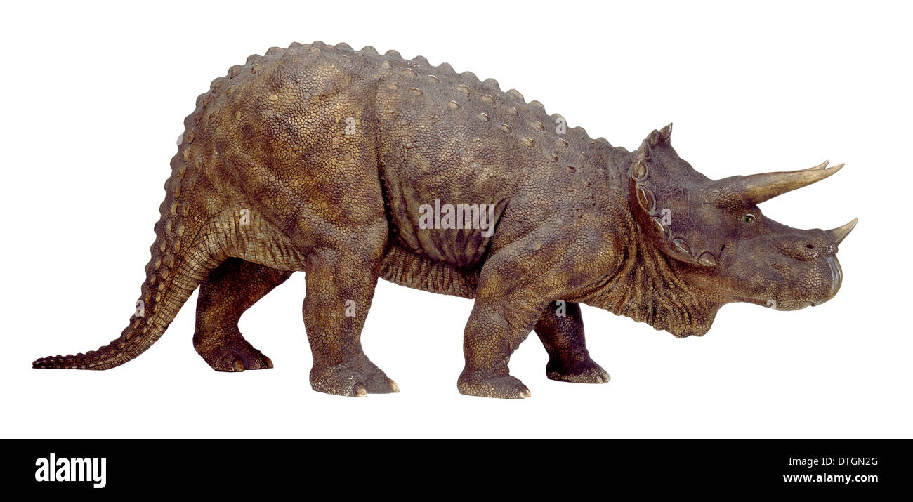 Triceratops cretaceous period hi-res stock photography and images - Alamy