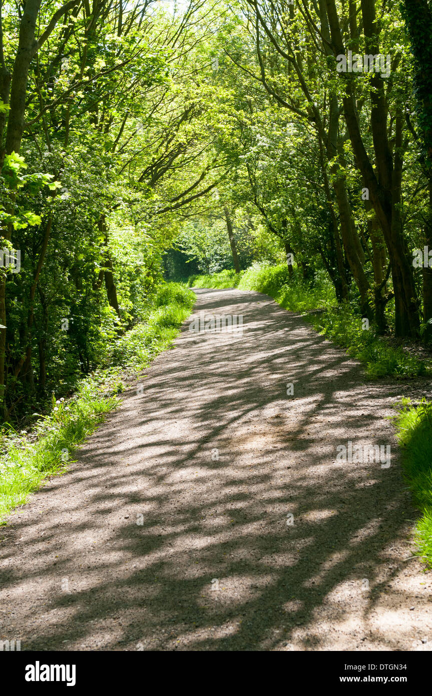 The Teversal Trail, Sutton in Ashfield Nottinghamshire England UK Stock ...
