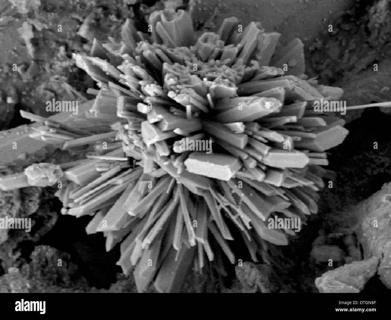 Malachite image Black and White Stock Photos & Images - Alamy