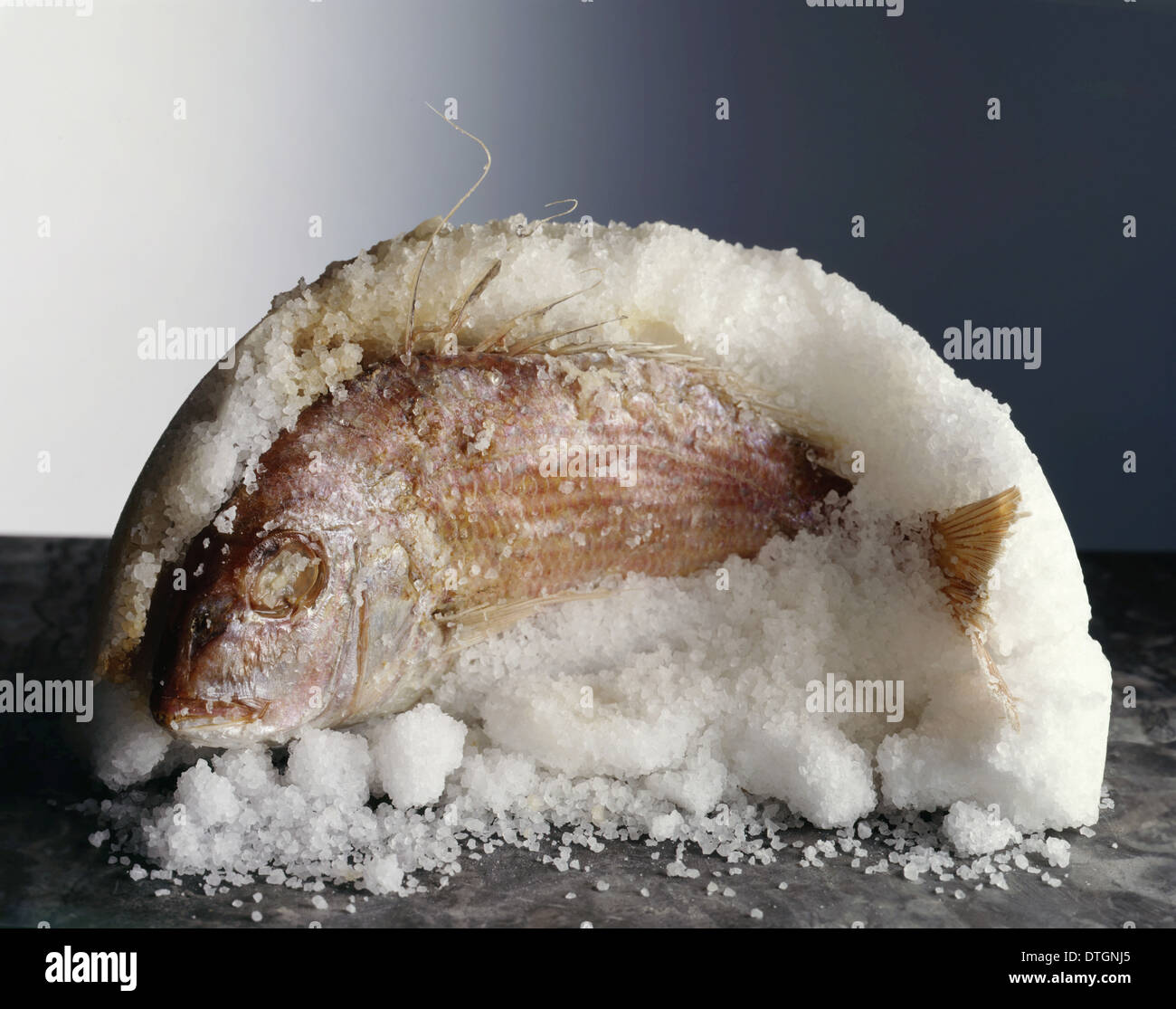 Pink Sea Bream High Resolution Stock Photography and Images - Alamy