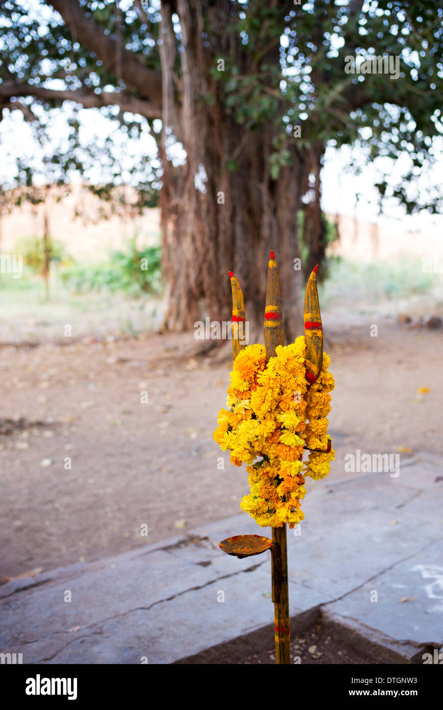 Temple tree flower hi-res stock photography and images - Alamy