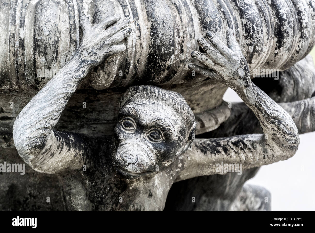 Monkey garden hi-res stock photography and images - Alamy