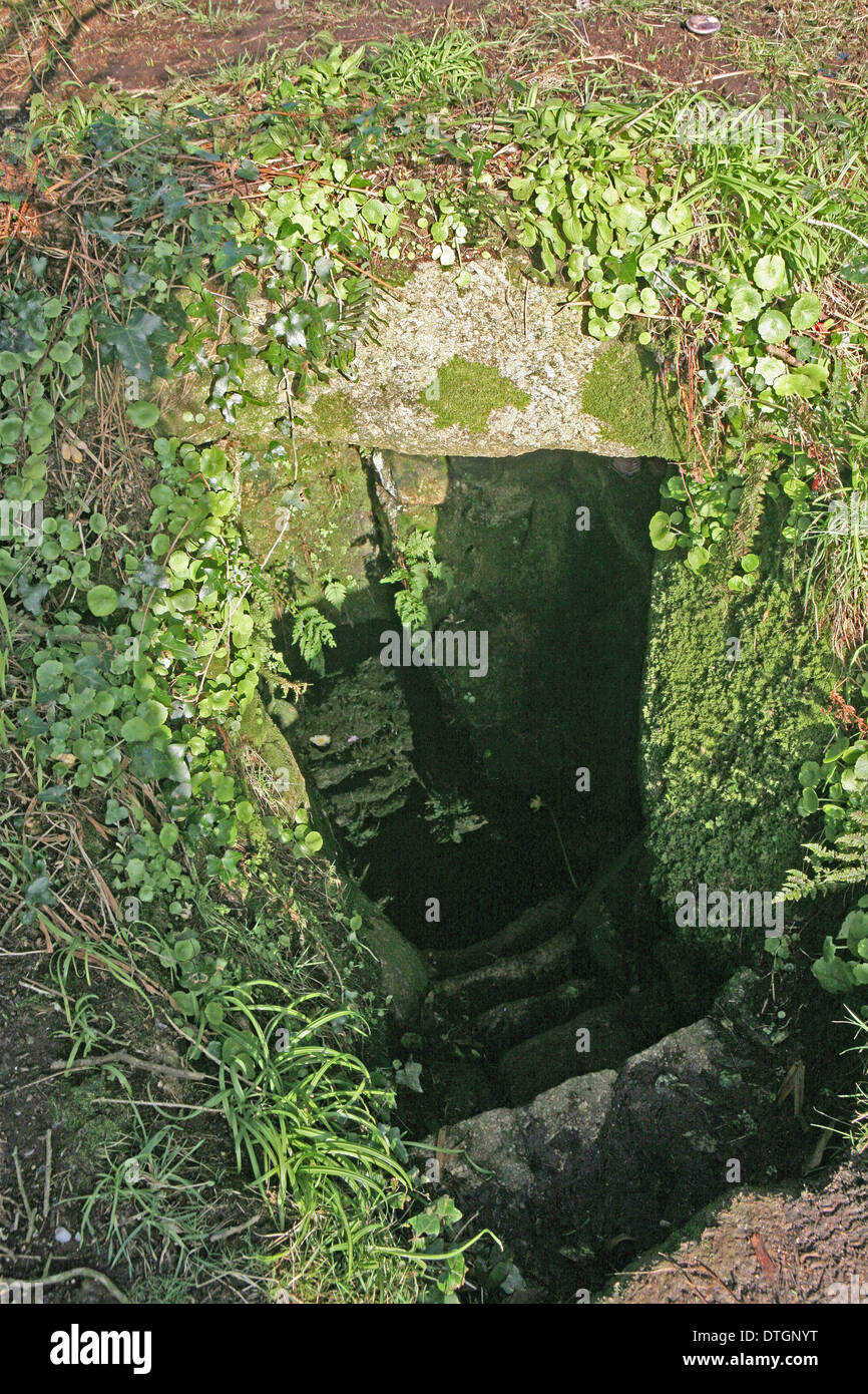 Sancreed holy well Cornwall Stock Photo - Alamy