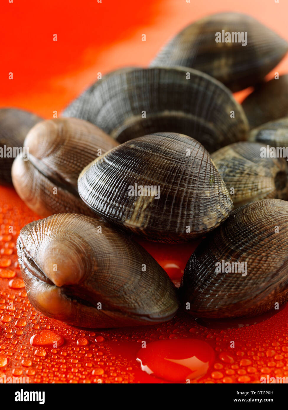 Heap of clams hi-res stock photography and images - Alamy