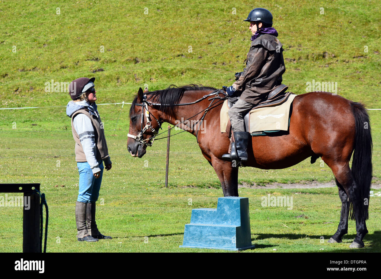 Teach A Horse High Resolution Stock Photography and Images - Alamy