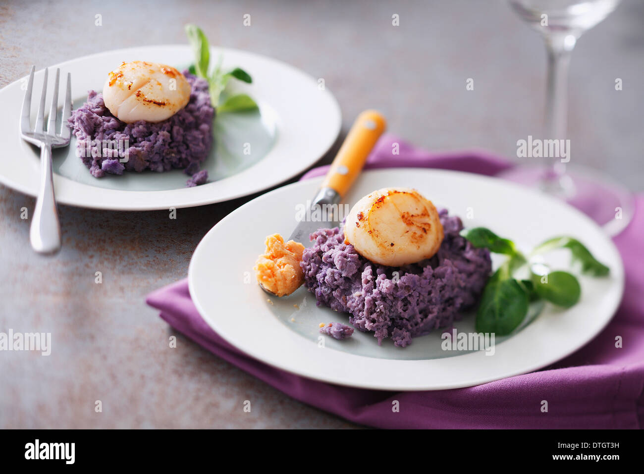 Scallops with scallop roe butter and mashed purple potatoes Stock Photo ...