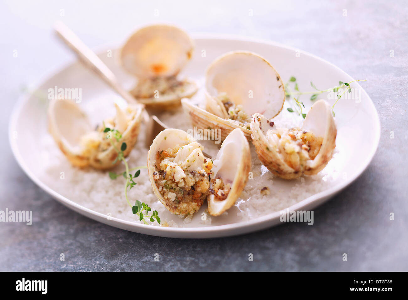 Cockle shellfish hi-res stock photography and images - Alamy