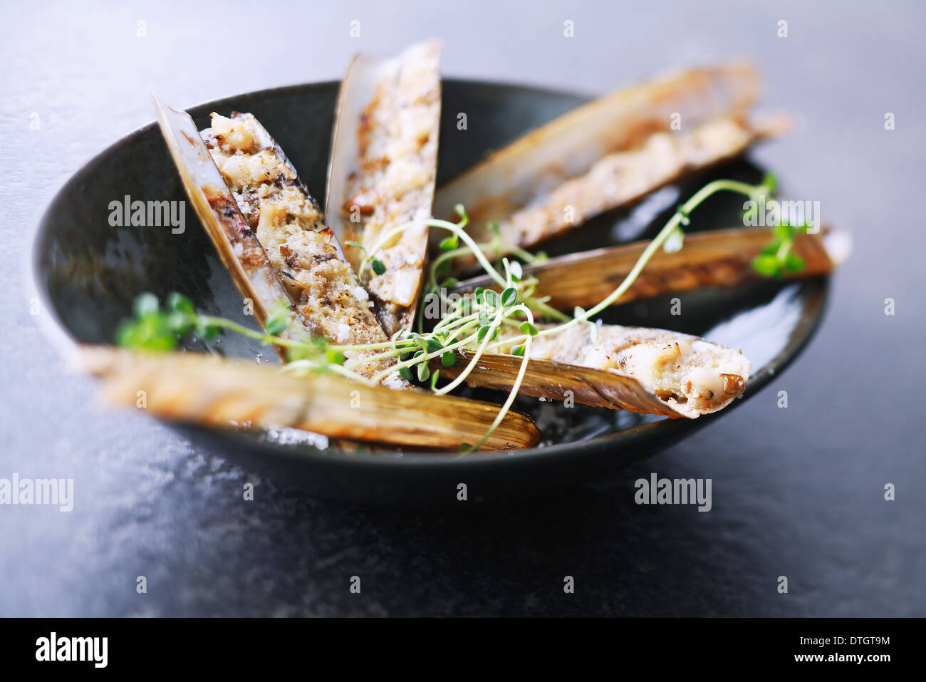Razor clams hi-res stock photography and images - Alamy