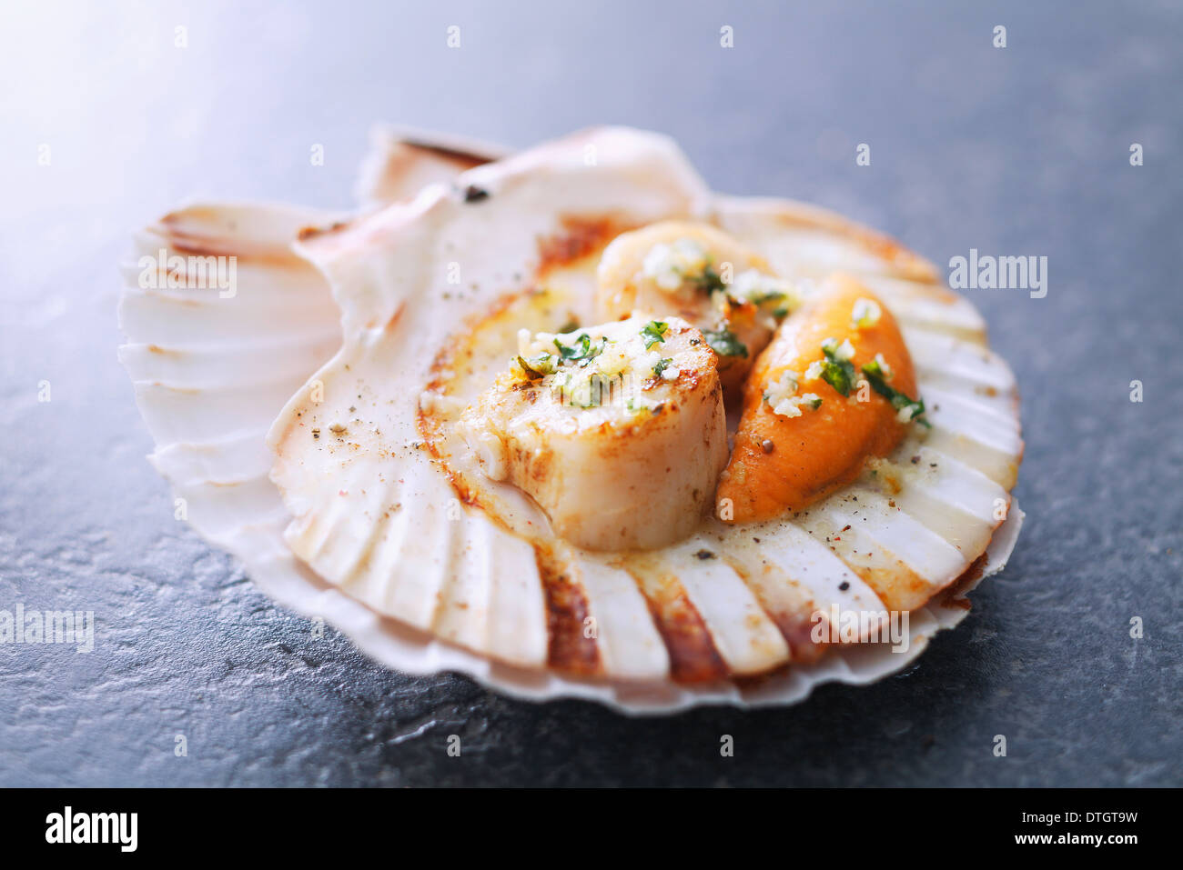 Scallops grilled with parmesan Stock Photo - Alamy