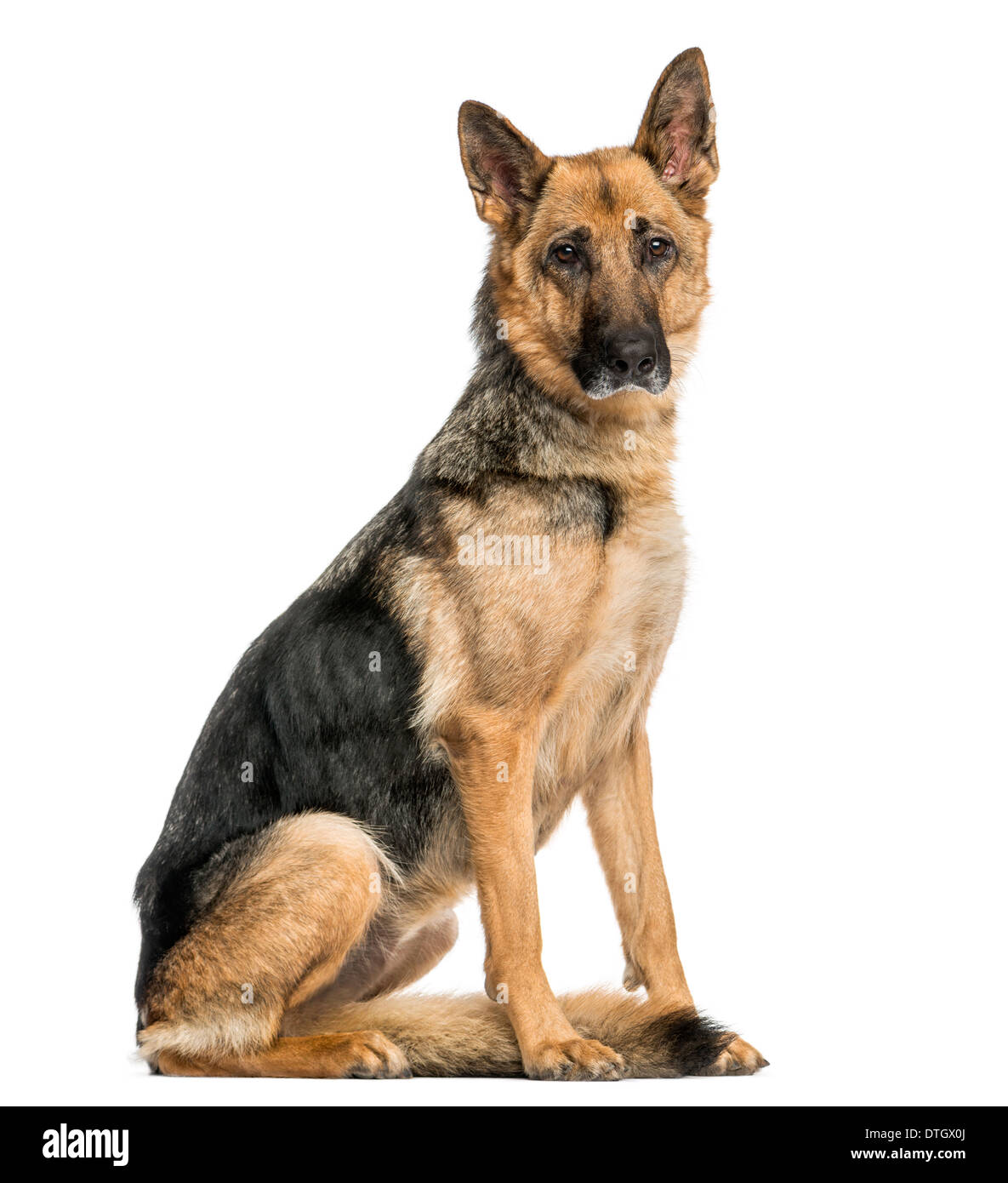 Old looking photo Cut Out Stock Images & Pictures - Alamy