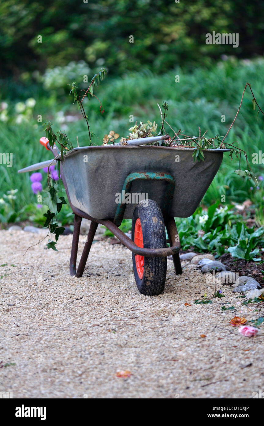 A wheelbarrow in a garden collecting garden waste UK Stock Photo - Alamy