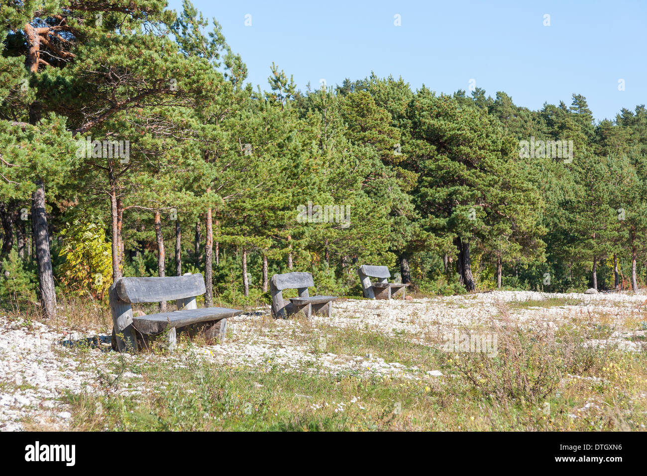 Seat in nature hi-res stock photography and images - Alamy
