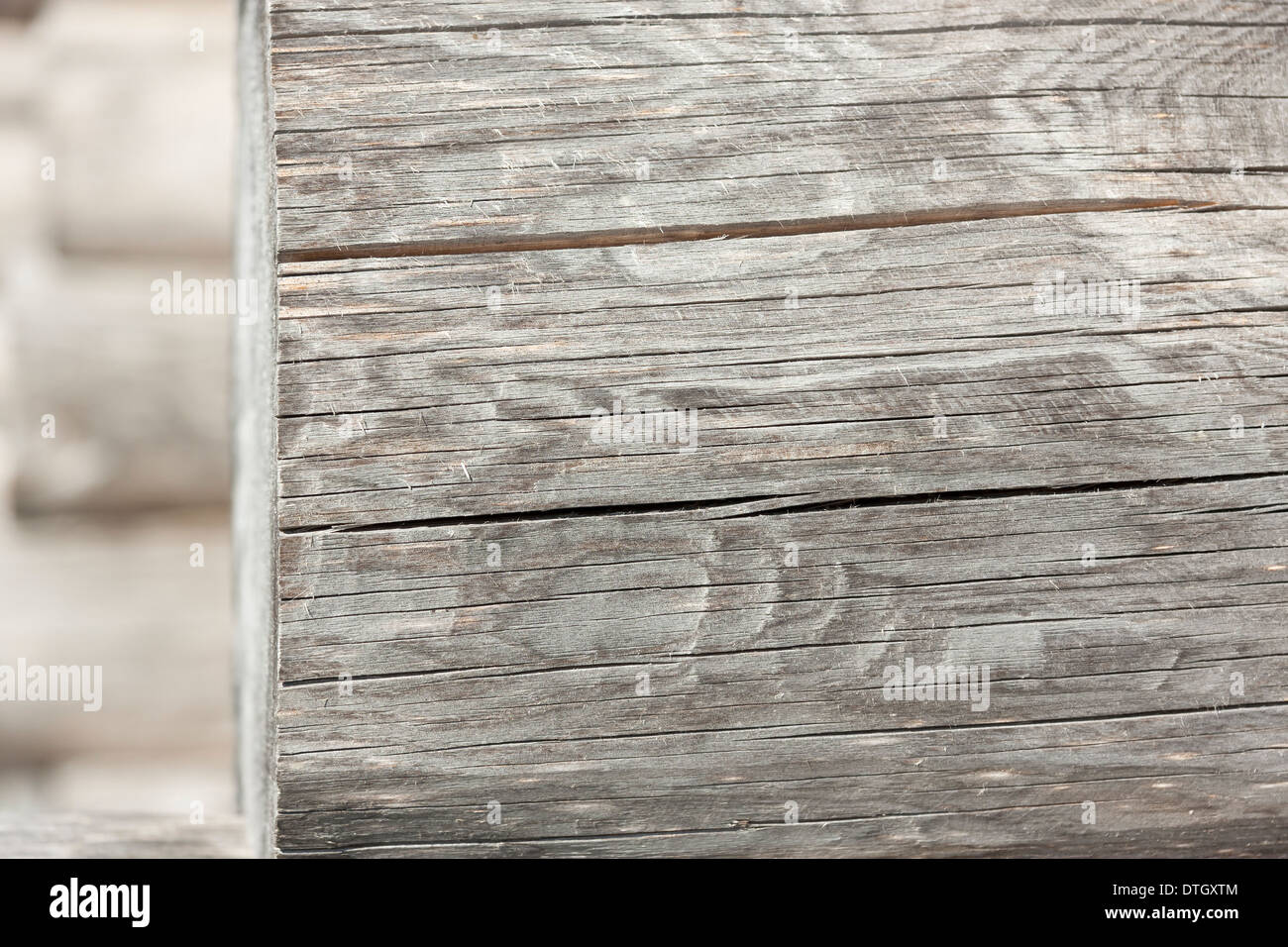 Timber tree hi-res stock photography and images - Alamy