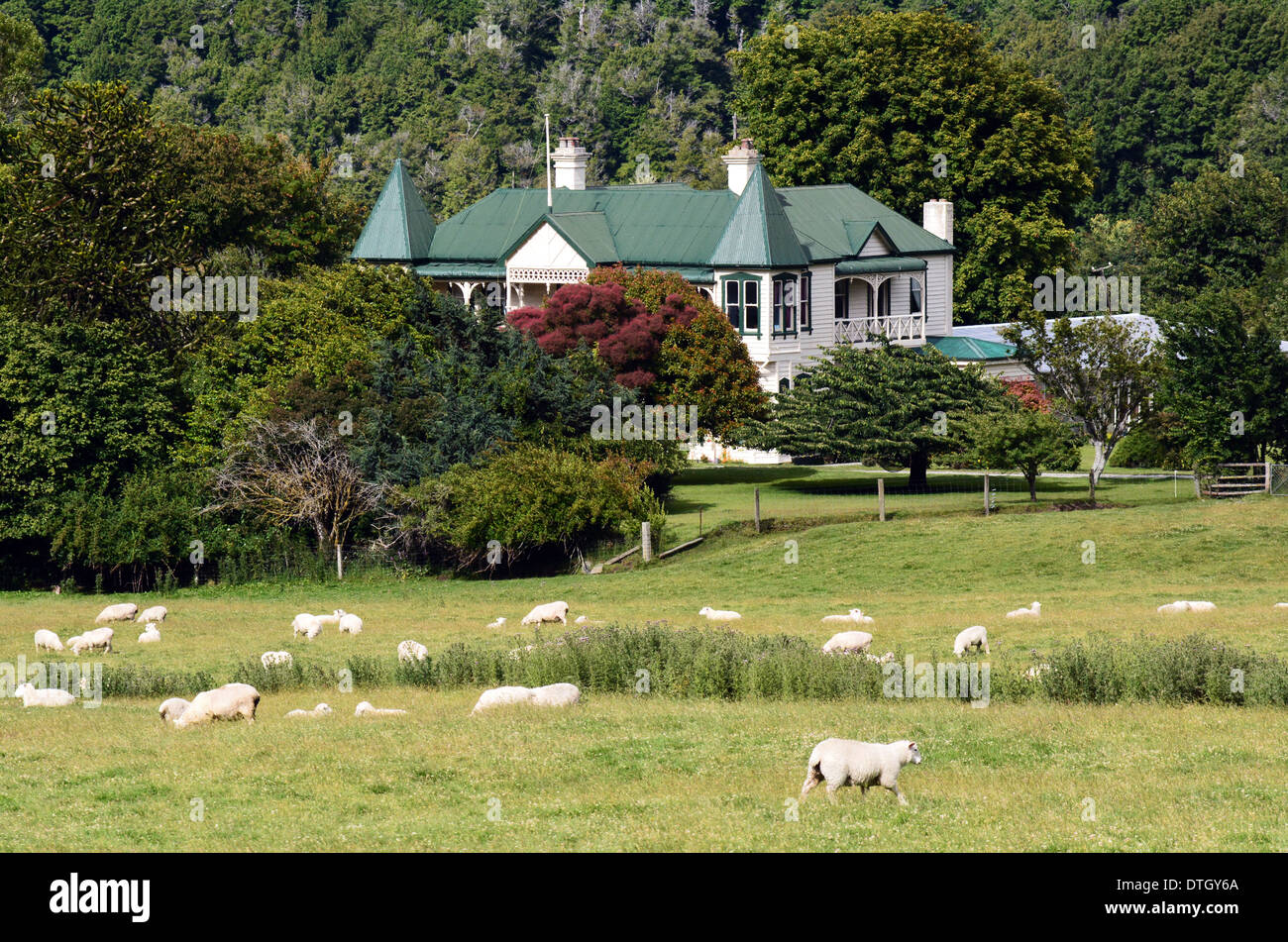 Sheep Station High Resolution Stock Photography and Images - Alamy