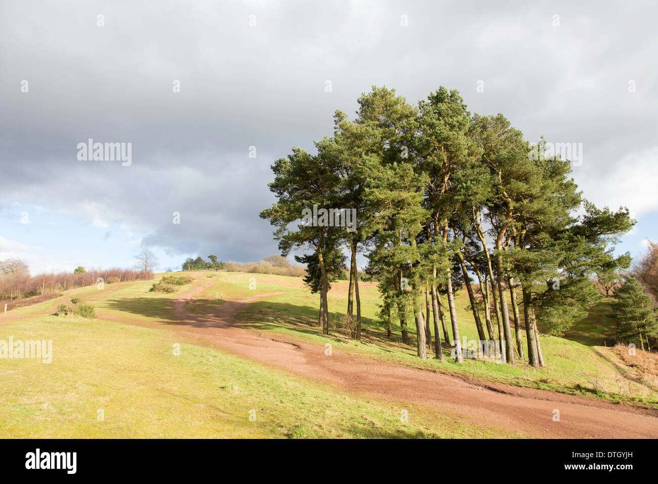 The National Trust's Clent Hills Country Park on a sunny winters day ...
