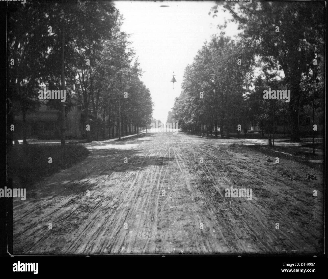 Tree lined view Black and White Stock Photos & Images - Alamy