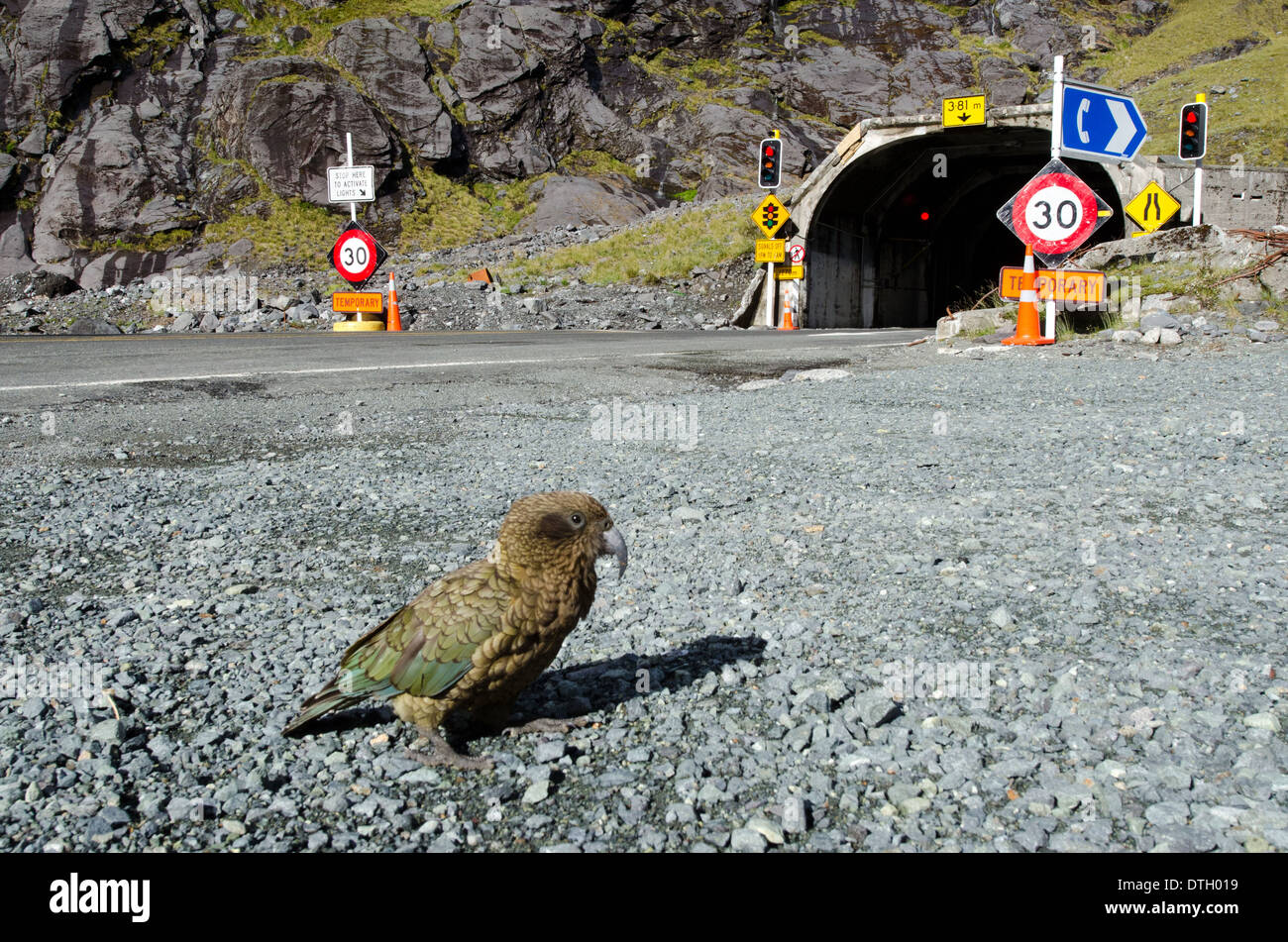 Homer Tunnel New Zealand High Resolution Stock Photography and Images ...