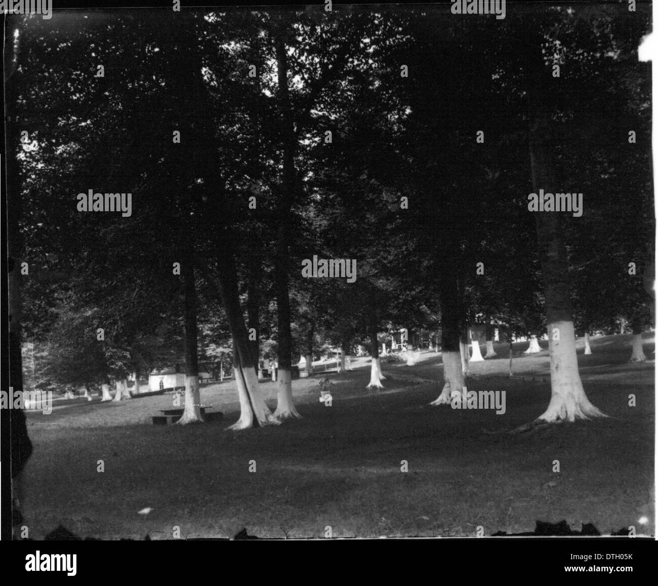 Talawanda springs hi-res stock photography and images - Alamy