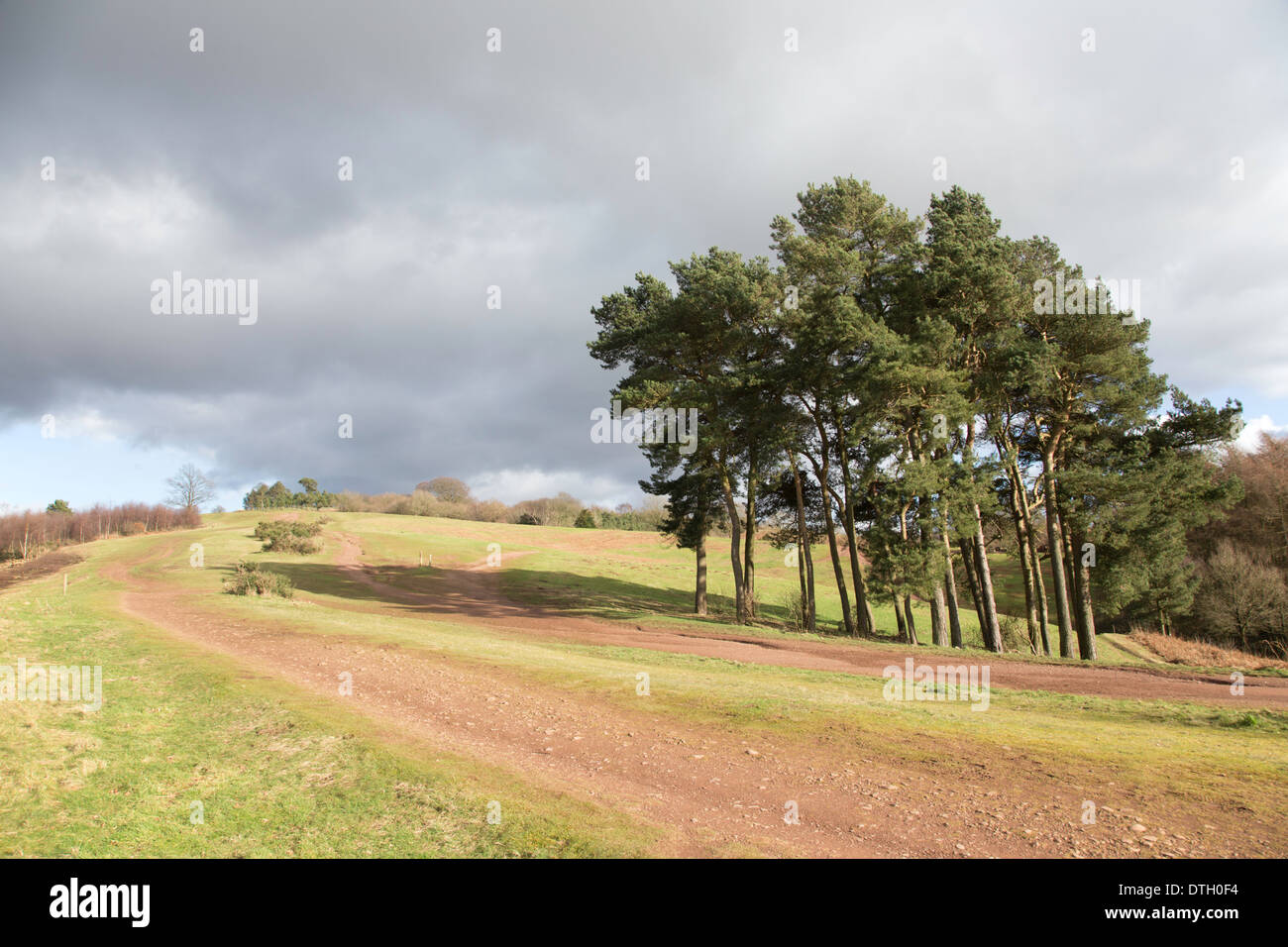 The National Trust's Clent Hills Country Park on a sunny winters day ...