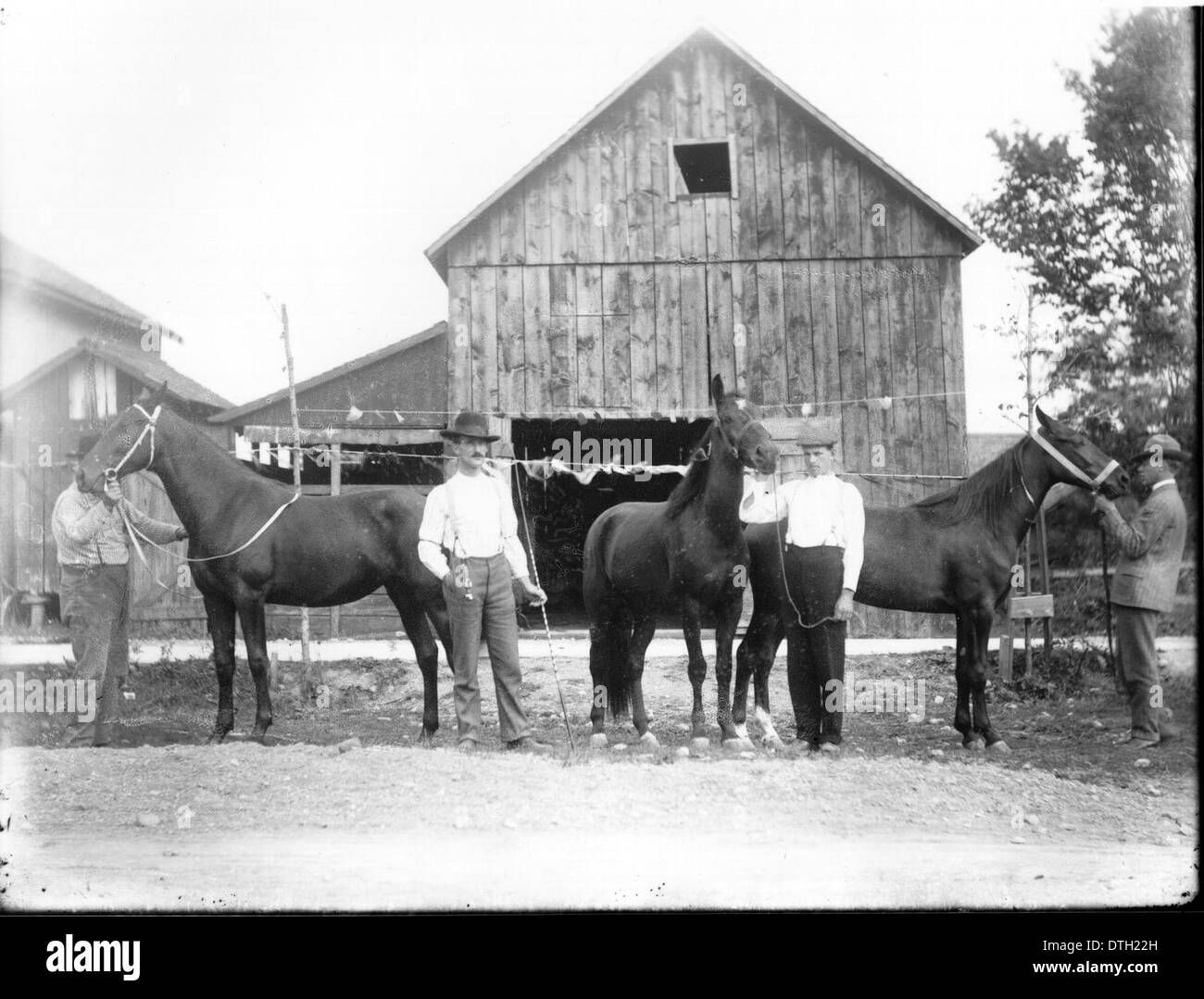 This historical photograph from 1904 shows men and horses outside a ...