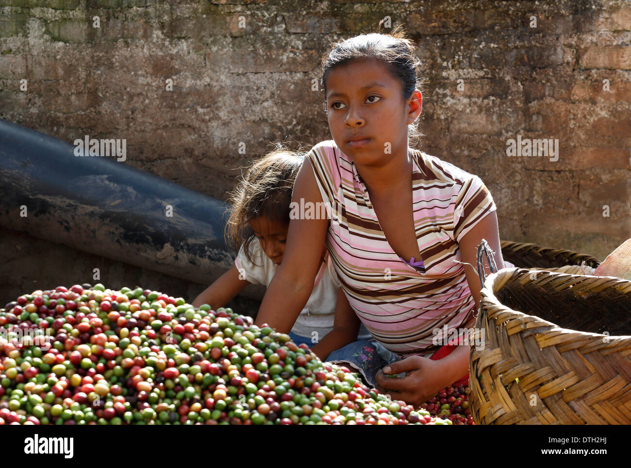 Sorting hi-res stock photography and images - Alamy